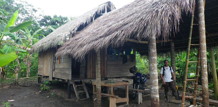 Formation des populations à l'agrosylviculture - Ishpingo